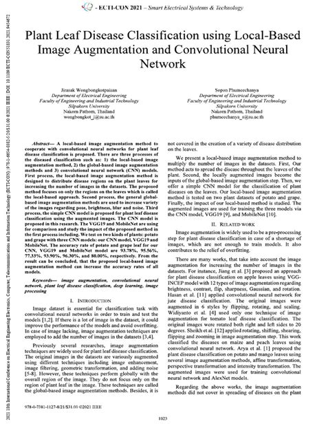 Plant Leaf Disease Classification Using Local Based Image Augmentation