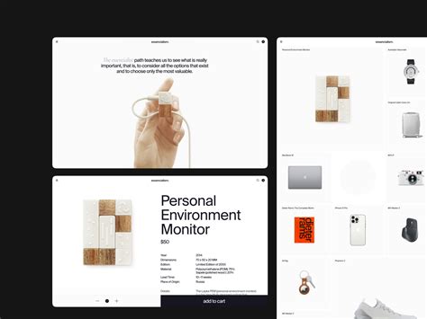Essentialism Concept Store By Alexi Ermakov On Dribbble