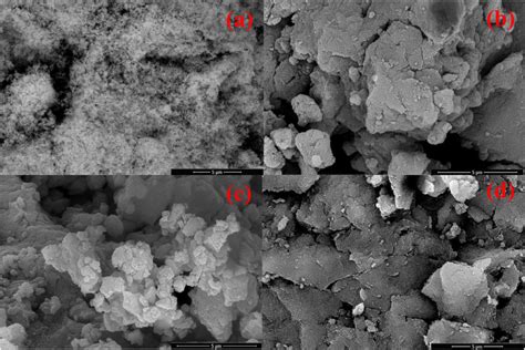 A D Fesem Micrographs Of Powder Phase Of Mgse Hapgo At Different