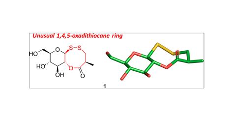 Rare Thioglycosides From The Roots Of Wasabia Japonica Journal Of