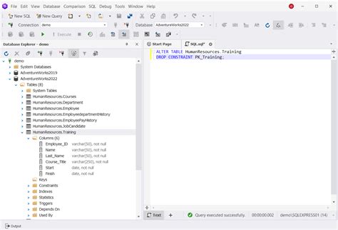 Primary Keys In SQL Server Definition Syntax Examples Devart Blog