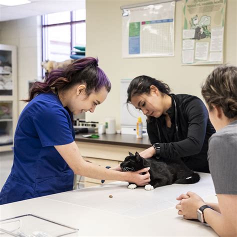 Community College Of Denver On Linkedin Ccd Cccs Collegelife