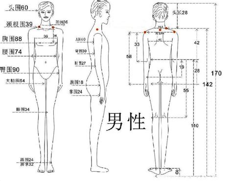男生身体参数对照表图（男生身体比例图） 十日日知识