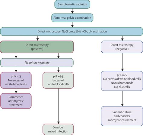 Vulvovaginal Candidosis The Lancet