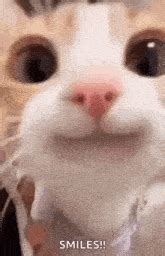 Smiling Cat S Tenor