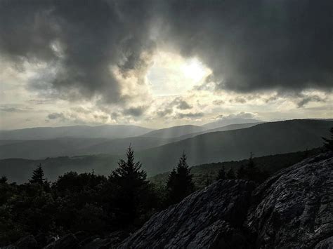 Shining Through Photograph By Susan Mize Pixels