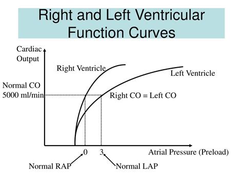 Ppt Left Ventricular Function Frank Starling Principle Left
