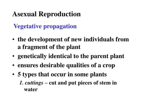 Ppt Angiosperm Plant Reproduction Chap 28 Powerpoint Presentation