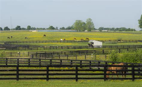 New Study Confirms Rapid Action Of Protazil® 156 Diclazuril