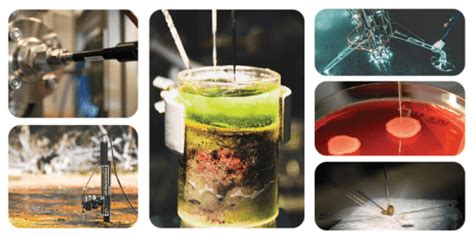 Unisense Microsensors Electrodes Lab And Field Systems Unisense Microsensors Electrodes Lab And Field Systems