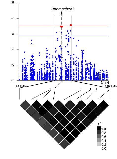 Krn4 Controls Quantitative Variation In Maize Kernel Row Number Abstract Europe Pmc