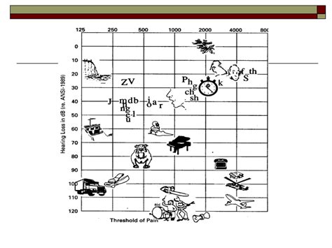 Introduction To Basic Audiology Ppt