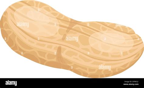 Cartoon Peanut Delicious Tasty Peanuts Snack Raw Peanut In Shell Flat Vector Illustration