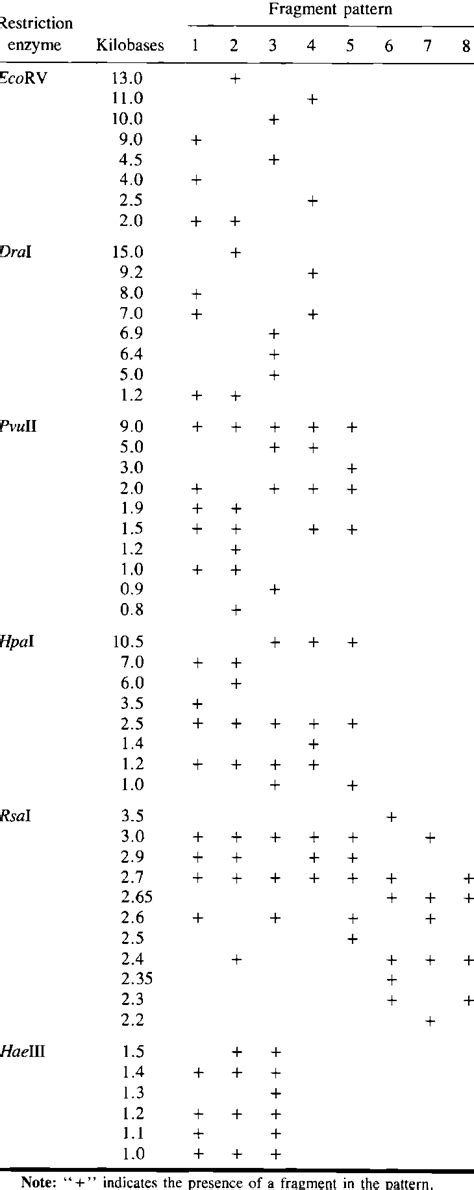 Mtdna Restriction Fragment Patterns For Pintails Download Table