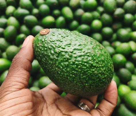 Raphael Mbithi On Linkedin Irwin Group Purely Hass Purely Organic Zero…