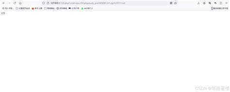 文件包含php伪协议利用方法 小皮怎么配置php伪协议访问权限 csdn博客