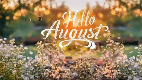 A Colorful Poster With The Words Hello August Stock Illustration