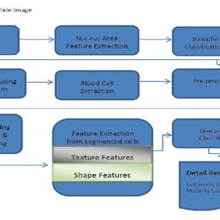 Proposed Solution 3 1 Illustration Of Proposed Methodology Download Scientific Diagram