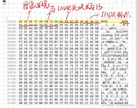 ctf杂项之图片隐写（一）（渡栗的学习笔记） ctf exif csdn博客