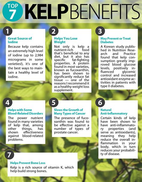 Benefits Of Iodine Kelp