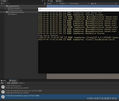 使用protobuf通信unity客户端和服务器stanceonconnect