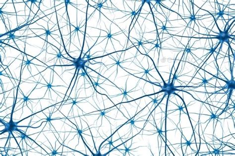 Brain Cell D Render Brain Wars Graphic Design Rendering