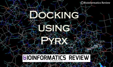 How To Perform Site Specific Docking Using Pyrx — Bioinformatics Review