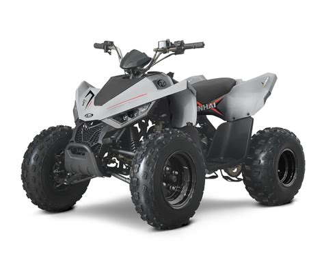 Bērnu Kvadracikli Linhai Atv 110 2x4 • Pro R Motors
