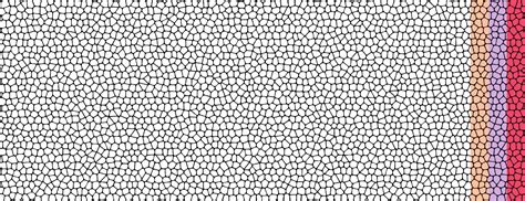 Free Cell Black White Vector Images Over 2700