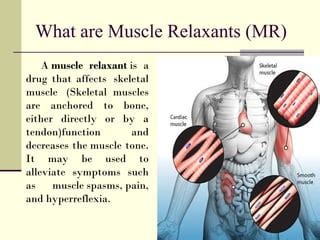 Muscle Relaxants Ppt