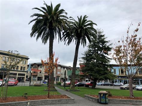 Things To Do In Arcata California At Diana Longoria Blog
