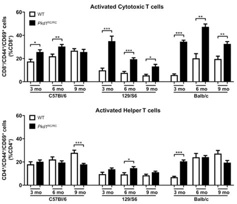 Cd8 T Cells Are Predominantly Activated In The Pkd1 Rcrc Mouse Model