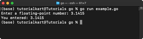 Golang Read Float Input From Console 2 Examples
