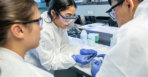 Program Gives City Colleges Of Chicago Students Opportunity To Learn