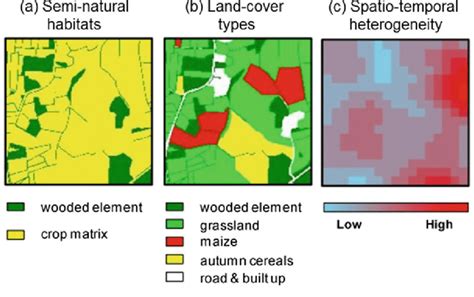 3 Different Representations Of Spatio Temporal Heterogeneity Adapted Download Scientific