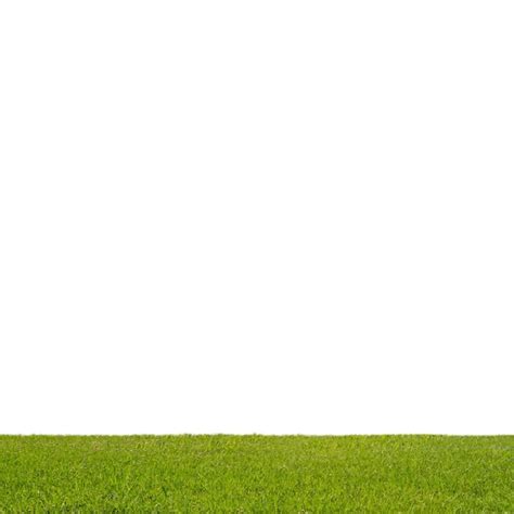 Premium Photo Fresh Green Field And Blank Background