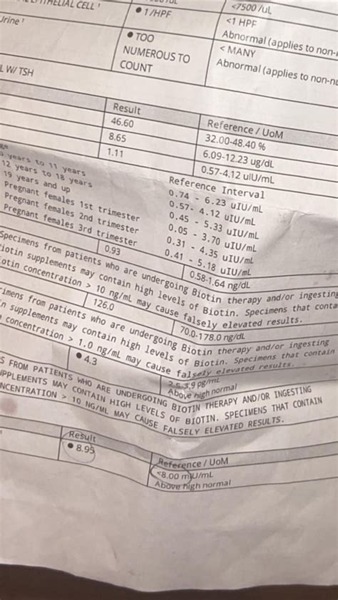 There Are My Hepatitis B Results Im Having Trouble Understanding