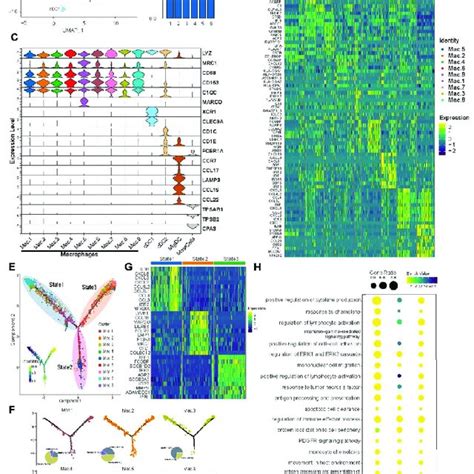 Transcriptome Profiles Of Myeloid Cells In Metastatic Lymph Nodes A Download Scientific