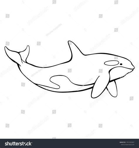 Orca Outline