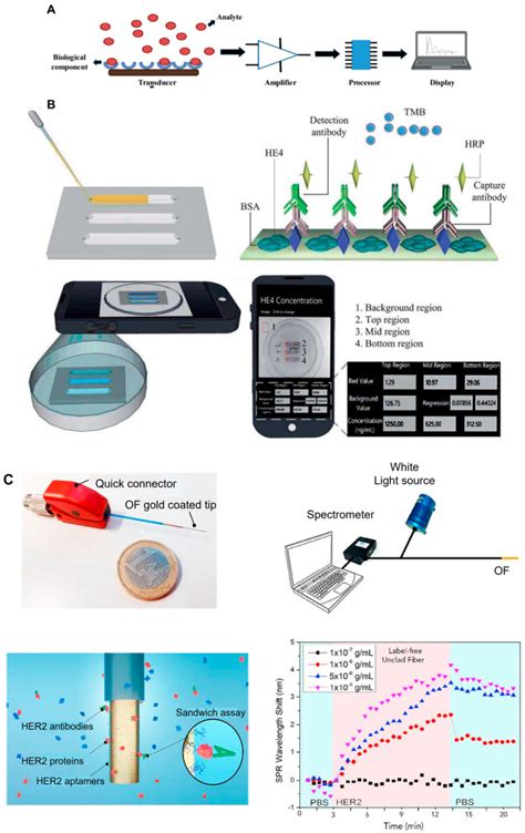 Surface Plasmon Resonance Spr Sensor For Cancer Biomarker Detection Pmc