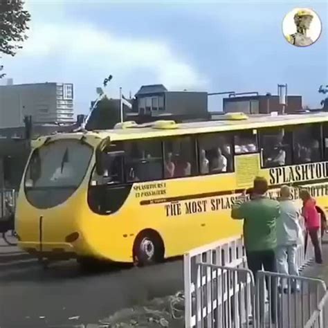 [video] Judith Sickinger Posted On Linkedin