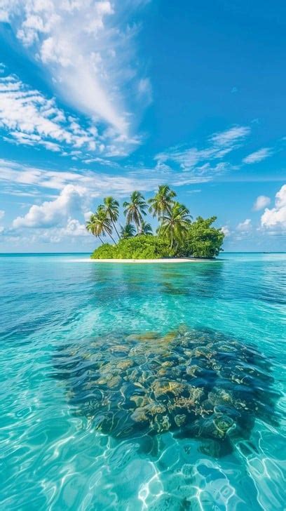 Free Tropical Island Paradise Image Tropical Island Paradise