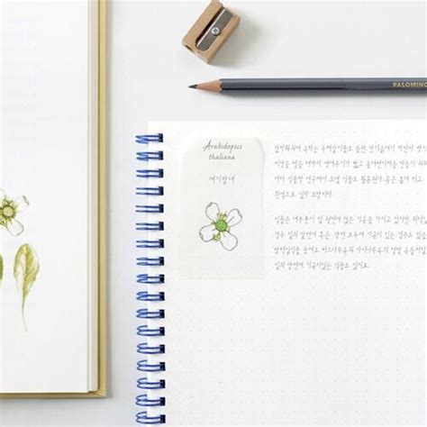 MochiThings Small Index Tracing Sticky Note MochiThings Small Index Tracing Sticky Note