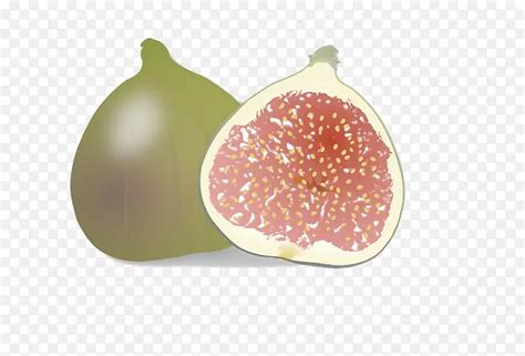 手绘无花果素材图片png图片素材下载图片编号7457861 Png素材网
