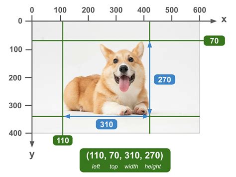 A Guide To Bounding Box Formats