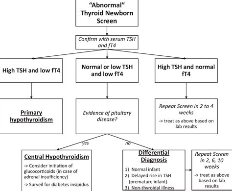 Neonatal Thyroid Disease Clinical Tree