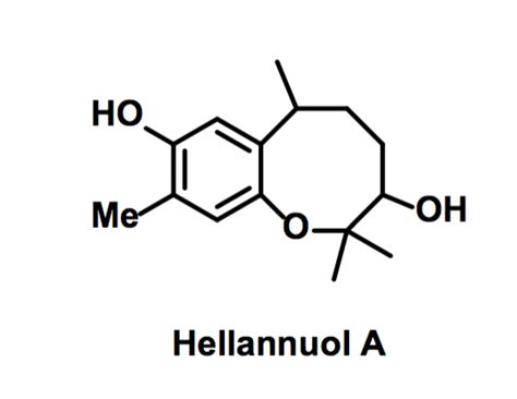 Complex Retrosynthesis R OrganicChemistry
