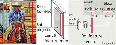 Fast R Cnn Joint Training Framework Structure [4] Download Scientific Diagram