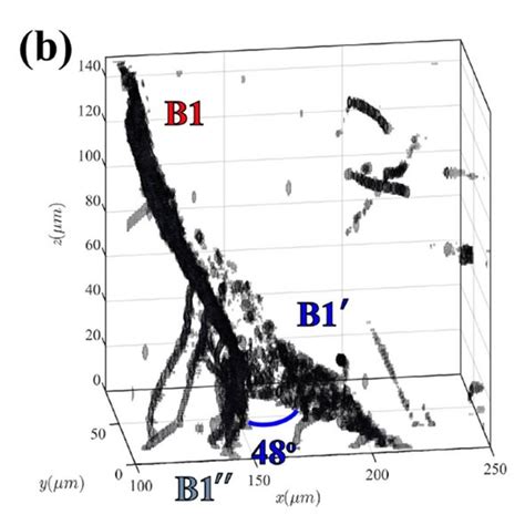 A Projection Of The 3d Dislocation Structures Shown In Fig 4 Along Download Scientific