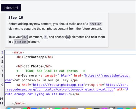 Learn Accessibility By Building A Quiz Step 17 Html Css The Freecodecamp Forum